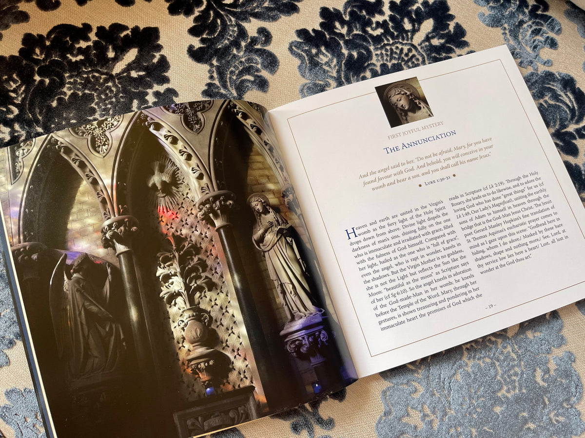 Lawrence Lew, O.P. | Mysteries Made Visible: Praying the Rosary with S ...